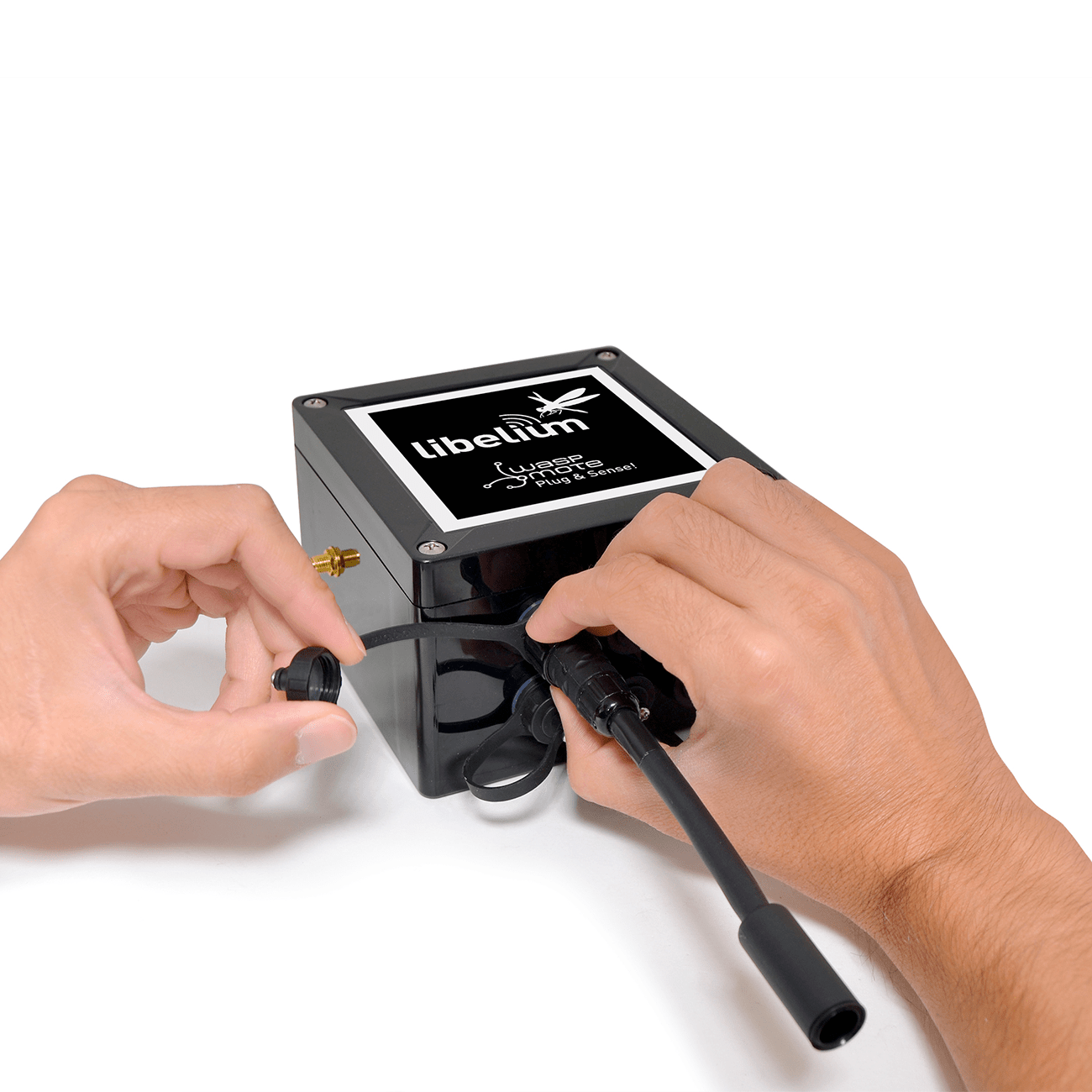 Plug & Sense Waspmote Encapsulated version easyly deploy IoT networks